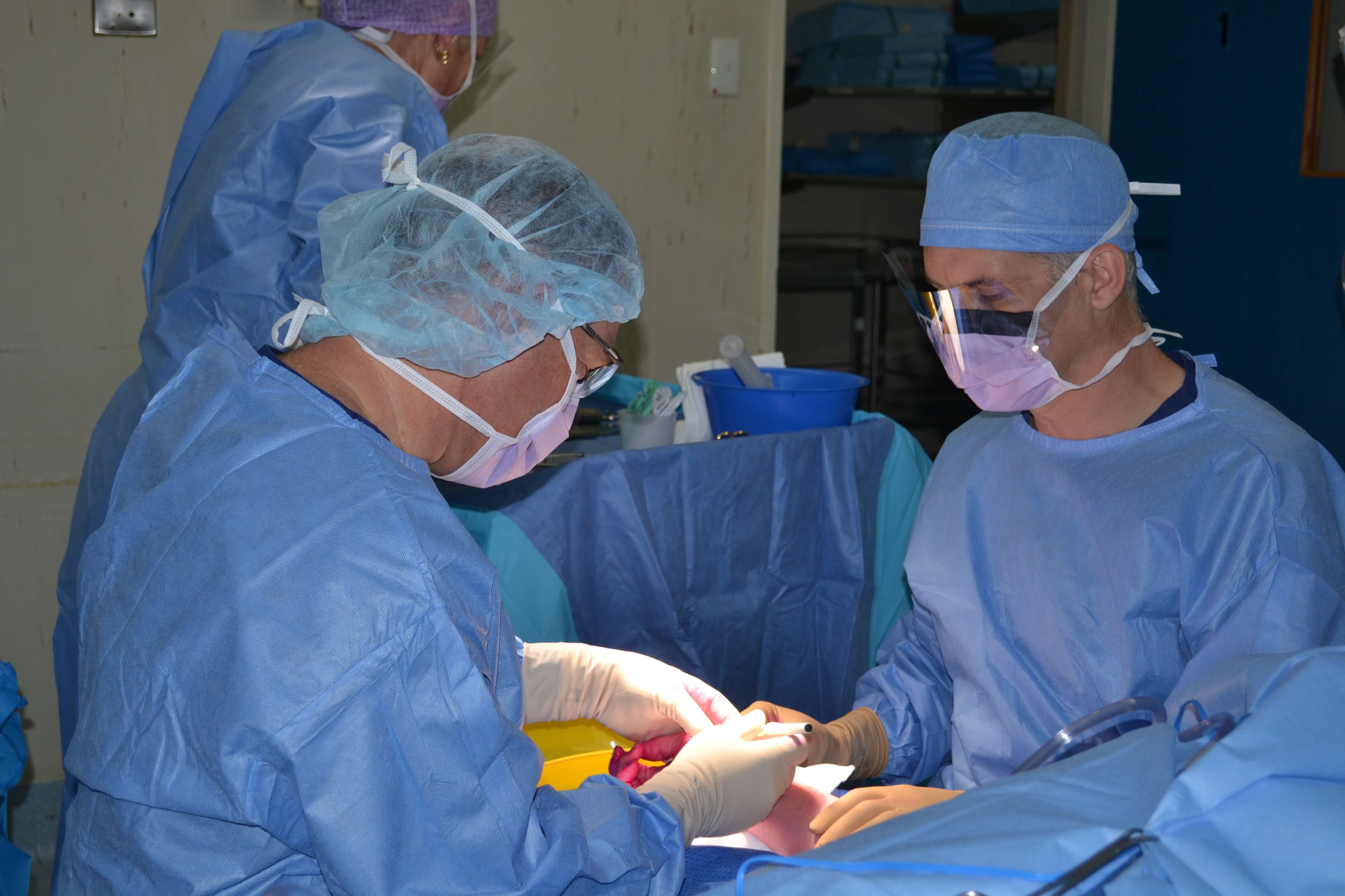 Glenelg Orthopaedics | Adelaide Shoulder Surgery | Orthopaedic Surgery ...