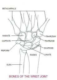 CMC ( carpometacarpal arthritis ) - Orthopaedic Surgeon Adelaide